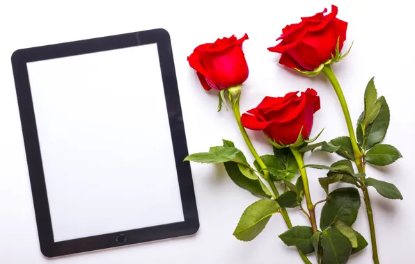 Download wallpaper roses, bouquet, red, tablet, flowers, roses, section ...