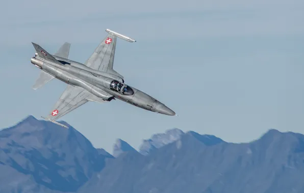 Wallpaper fighter, multipurpose, easy, F5 Tiger for mobile and desktop ...