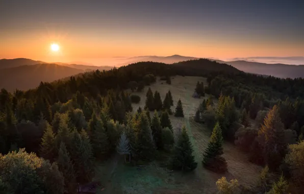 Download wallpaper forest, mountains, morning, section landscapes in ...