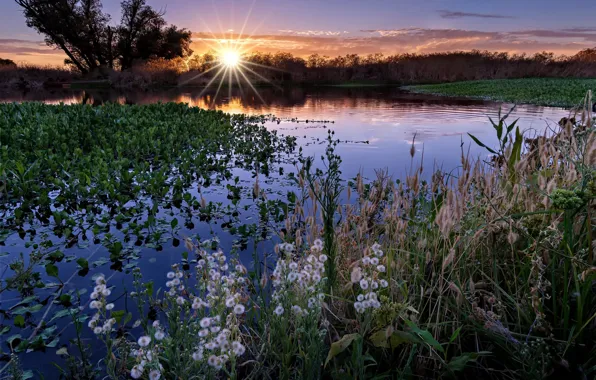 Wallpaper sunset, nature, river for mobile and desktop, section природа ...