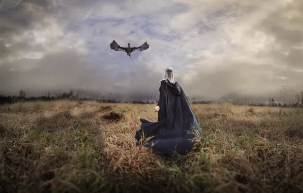 Wallpaper girl, style, dragon, fantasy, image, Princess, photoart ...