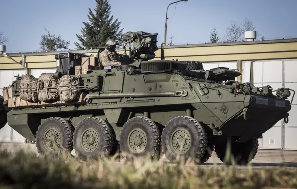 Wallpaper combat, Stryker, stryker, armored vehicle for mobile and ...