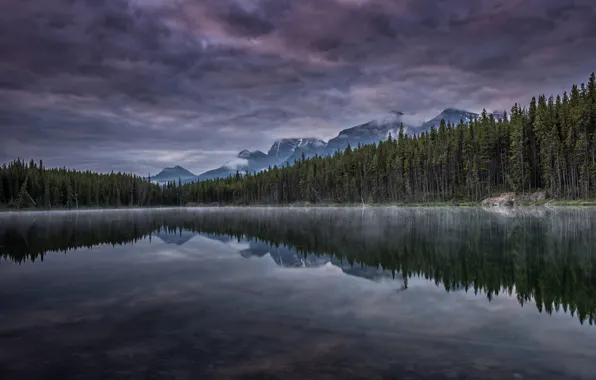 Wallpaper the sky, clouds, trees, mountains, lake, reflection, the ...