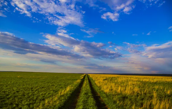 Wallpaper freedom, landscape, nature for mobile and desktop, section ...