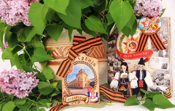 Wallpaper joy, war, victory, may, May 9, medals, WWII images for ...