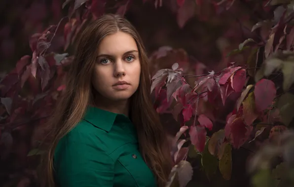 Wallpaper autumn, look, girl, nature, face, sweetheart, foliage ...