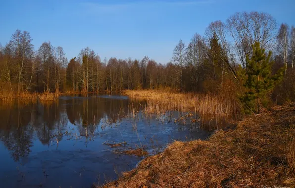 Wallpaper landscape, nature, river, spring, spill for mobile and ...