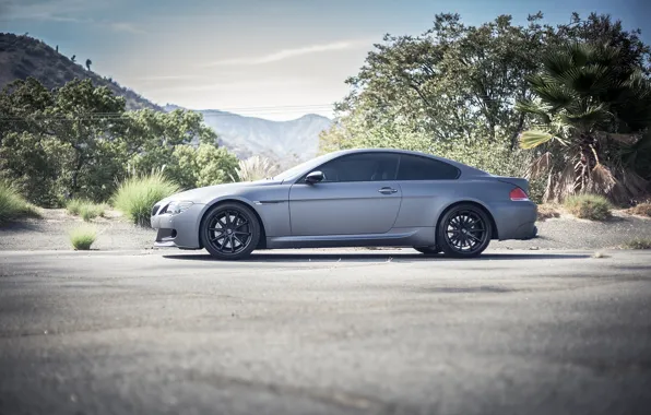 Wallpaper trees, grey, bmw, BMW, coupe, Matt, profile, wheels, black ...