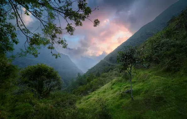 Wallpaper Clouds, Green, Sunset, Evening, Island, Tropics images for ...