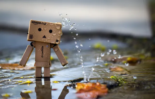 Danbo Wallpaper Rain