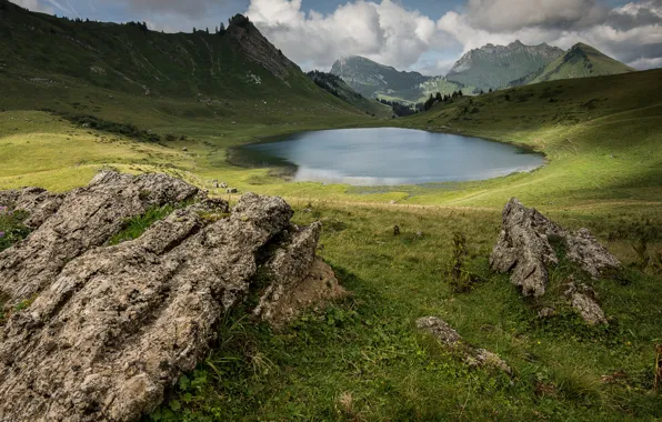 Download wallpaper summer, mountains, nature, section nature in ...