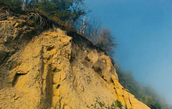 Wallpaper trees, sand, clif for mobile and desktop, section пейзажи ...