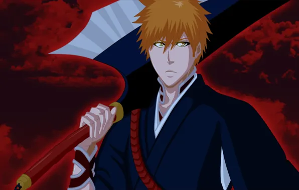 Bleach Ichigo Fullbring Wallpaper