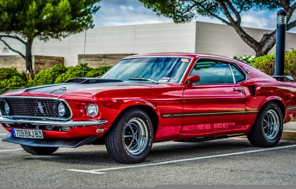 Wallpaper Mustang, Ford, Muscle, Red, Car, Boss, Mach 1, Chrome for ...