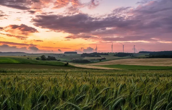 Wallpaper summer, sunset, nature images for desktop, section пейзажи ...