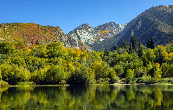 Wallpaper nature, Mountain, Summer, utah, Lake, Salt lake city for ...