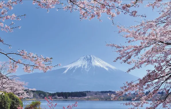 Wallpaper landscape, beauty, spring, Japan, Asia, Japan, landscape ...