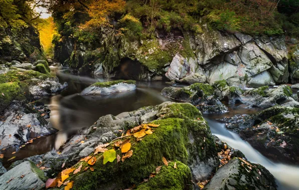 Wallpaper autumn, nature, river for mobile and desktop, section природа ...