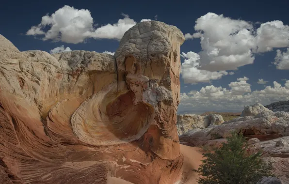 Wallpaper rock, AZ, Sedona, Rabbit Ears Rock Formation for mobile and ...
