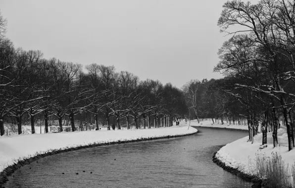 Wallpaper River Trees Winter For Mobile And Desktop Section пейзажи Resolution 5298x3532
