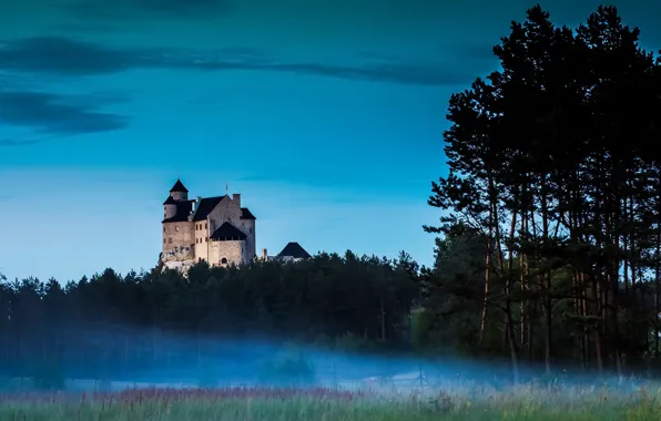Wallpaper Poland, Lodz, Whistling, Bobolice Castle for mobile and ...