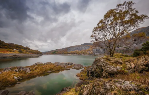 Wallpaper clouds, mountains, lake, tree, Wales, Llyn Peris for mobile ...