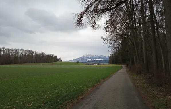 Wallpaper Switzerland, the Canton of Zug, mount Rigi for mobile and ...