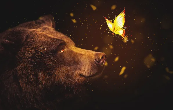 Wallpaper abstract, wallpaper, bear, butterfly, dreams, abstract ...