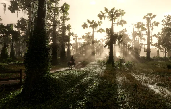 Download wallpaper background, the game, Red Dead Redemption II ...