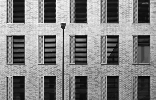 City Windows Texture