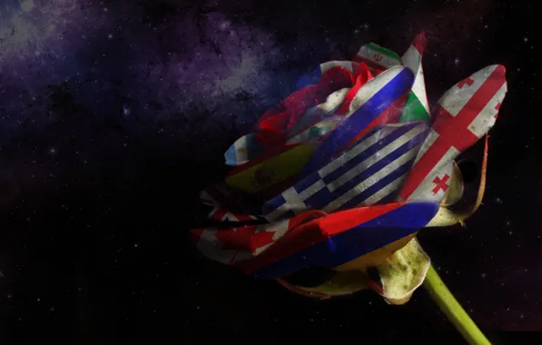 Wallpaper the universe, rose, flag for mobile and desktop, section ...