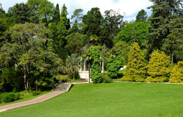 Wallpaper greens, summer, landscape, Park for mobile and desktop ...