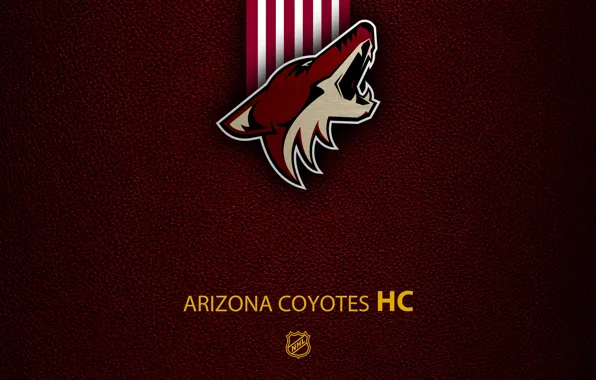 Wallpaper wallpaper, sport, logo, NHL, hockey, Arizona Coyotes for ...