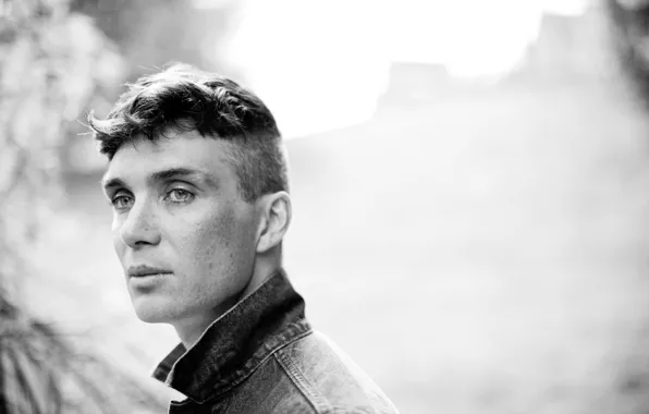 Wallpaper look, face, actor, black and white, male, Cillian Murphy ...