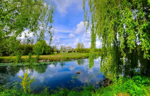 Wallpaper nature, beauty, spring for mobile and desktop, section ...