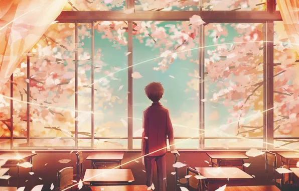 Download wallpaper spring, boy, window, class, cherry, student, section ...