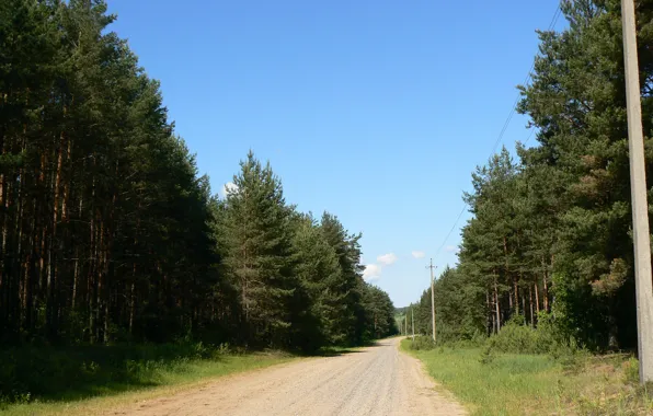 Wallpaper road, forest, Nature, homeland, Belarus, my photo for mobile ...