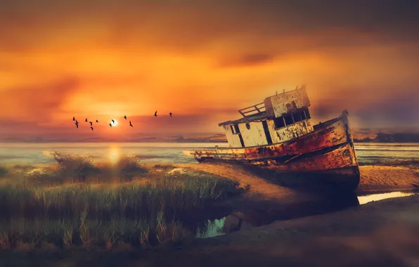 Wallpaper the sky, landscape, sunset, birds, rendering, shore, boat ...
