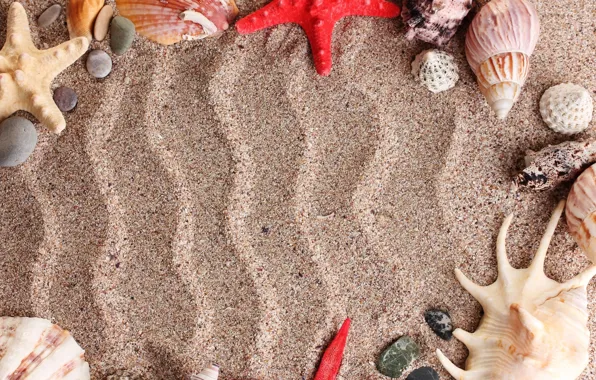 Wallpaper sand, sea, beach, summer, stars, stones, patterns, shell, sea ...