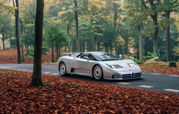 Wallpaper car, Bugatti, forest, Bugatti EB110 GT, EB 110 for mobile and desktop, section bugatti ...