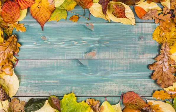 Wallpaper autumn, leaves, background, colorful, rainbow, maple, wood ...