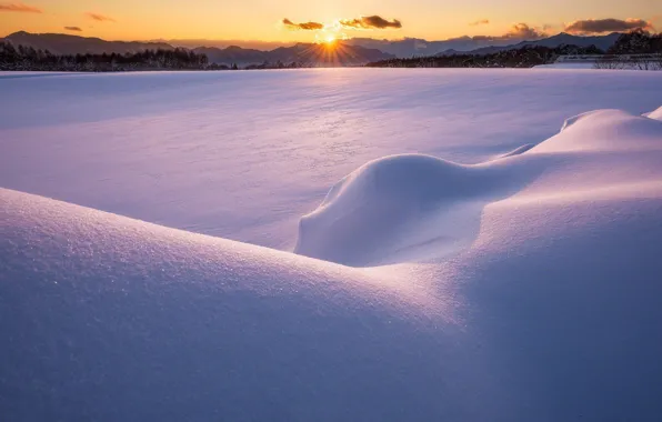 Wallpaper winter, macro, snow, sunset for mobile and desktop, section ...