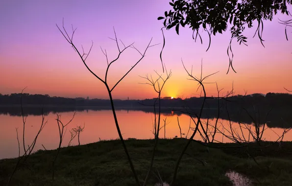 Wallpaper trees, water, lake, morning, sun, sunrise, dawn, woods for ...