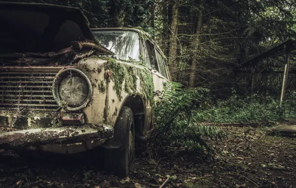 Wallpaper machine, forest, scrap for mobile and desktop, section разное ...