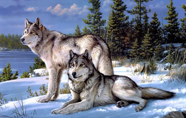 Wallpaper winter, forest, wolves, Joseph Hautman images for desktop ...