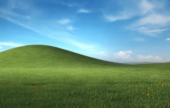 Wallpaper grass, hill, Bliss, microsoft xp for mobile and desktop ...