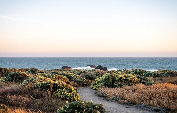 Wallpaper sea, wave, dal, horizon, shrub for mobile and desktop ...