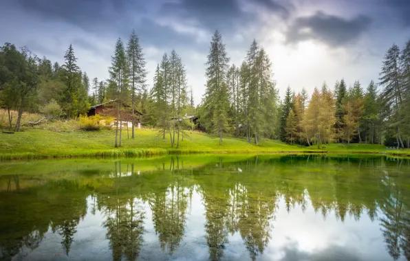 Download wallpaper summer, nature, lake, section nature in resolution ...