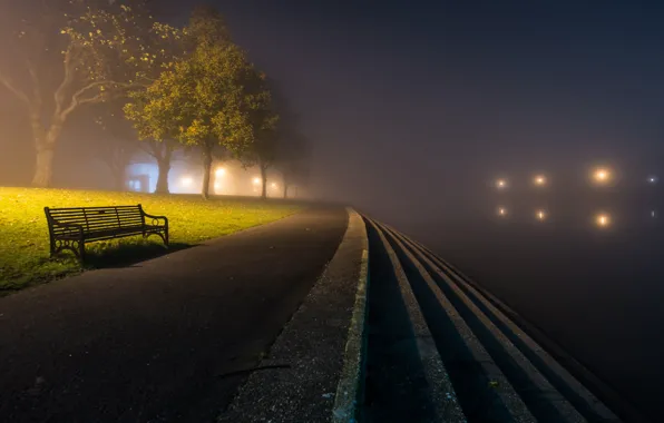 Bench Night Wallpaper