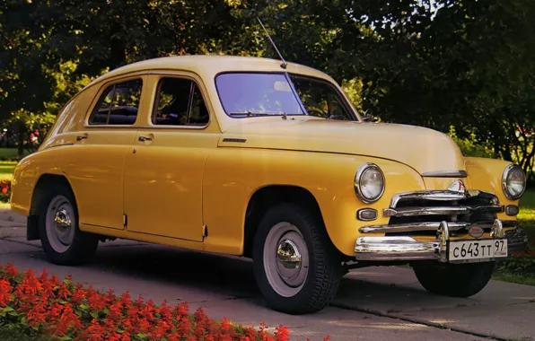 Wallpaper flowers, background, classic, Victory, the front, GAS, 1955 ...